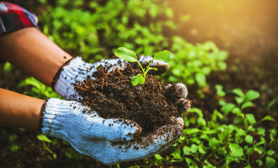Agriculture Introduction, Meaning & Definition and 5 Advantages of ...